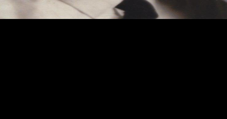 James Fraiser (Jim) Fox | Obituaries | ledger.news