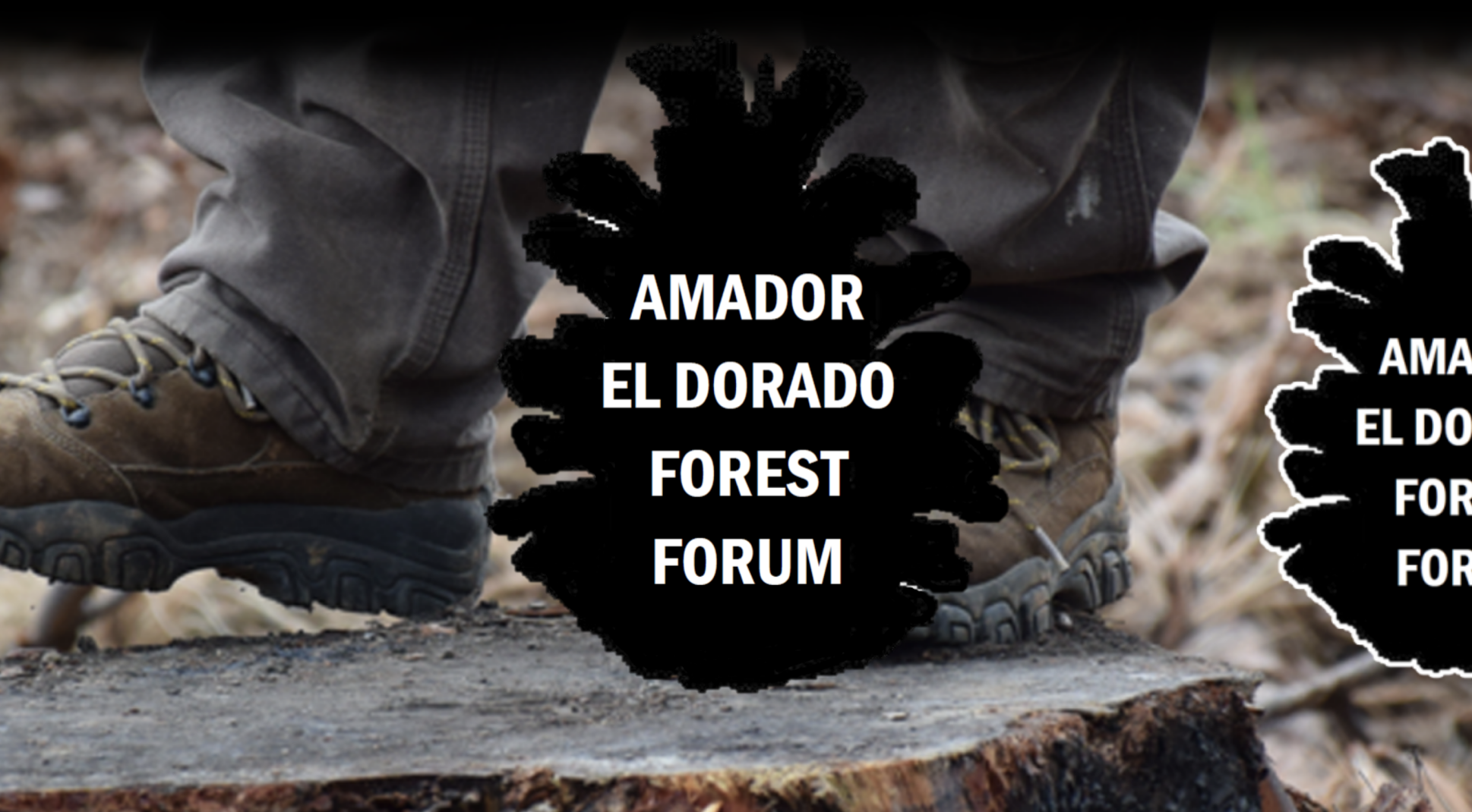 New Forest Management Handbook for Small-Parcel Landowners the Topic at ...