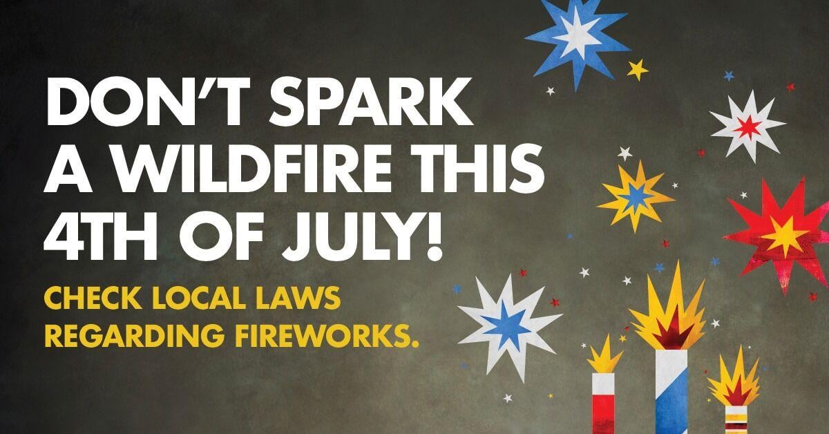 Safe And Sane Fireworks Safety Tips And Local Laws Roots Ledger News
