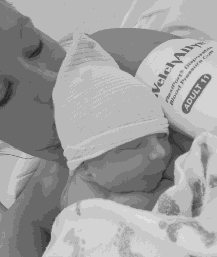 Meet Your New Neighbors | Announcements | ledger.news