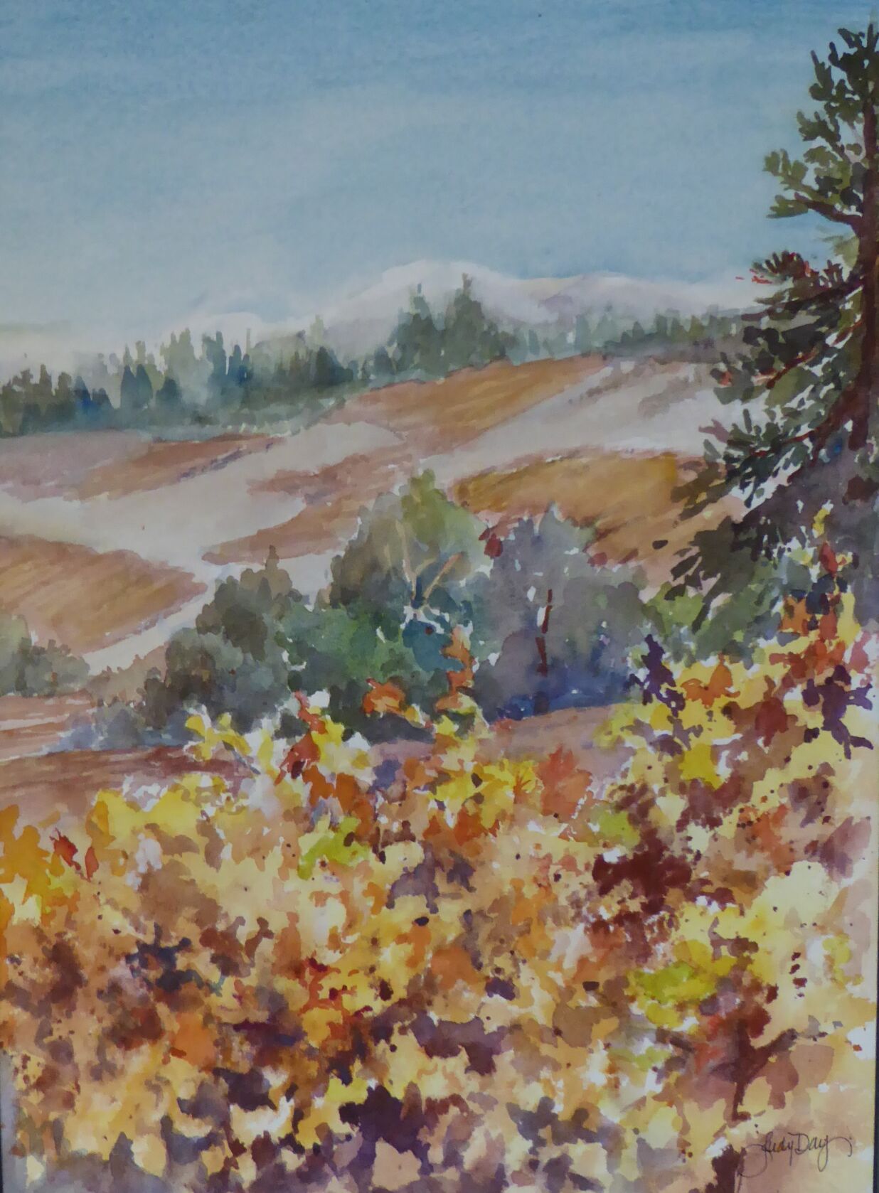 Judy Day Featured Artist In September at Sutter Creek Gallery | On the ...