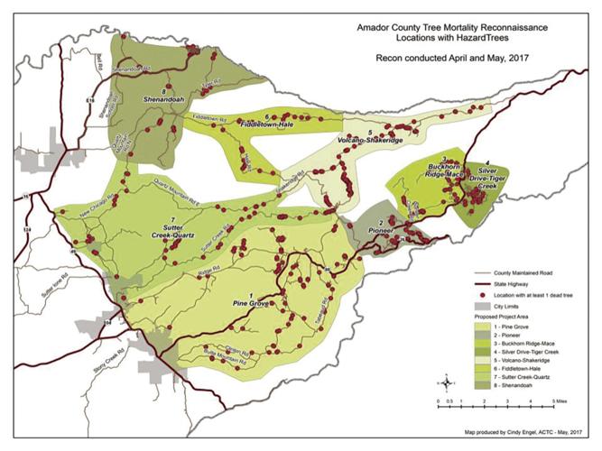 New Maps Show Extent of Tree Mortality Crisis | News | ledger.news