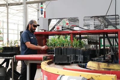 California Farm Bureau Food & Farm News — Wednesday, June 17, 2026 ...
