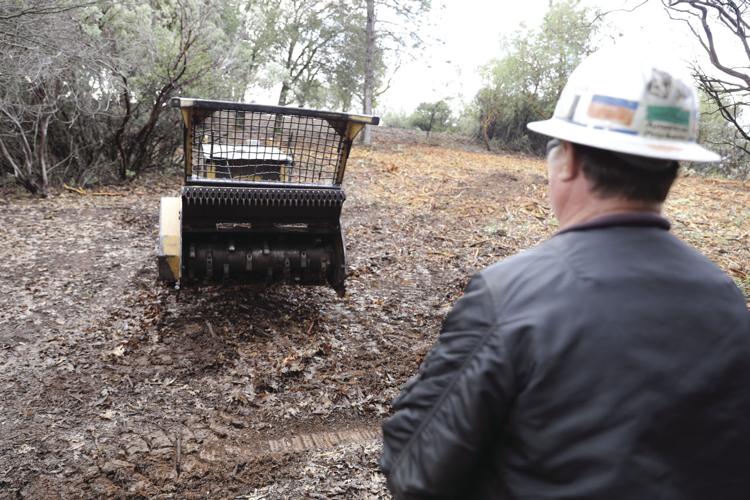 Fire Fuel Reduction Equipment Demo Set for This Week | Roots | ledger.news