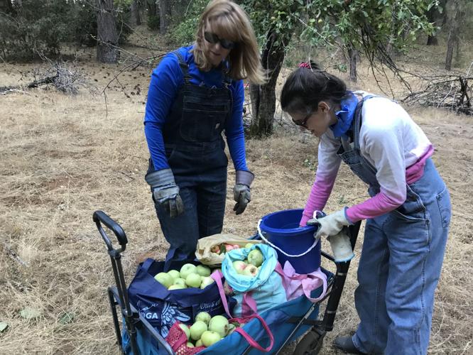 Mother-Ruckers: Off the beaten path | In the Game | ledger.news