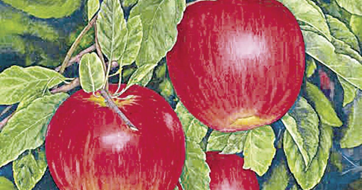 Art on Main in Downtown Murphys is Ready for the Holidays | On the Vine ...