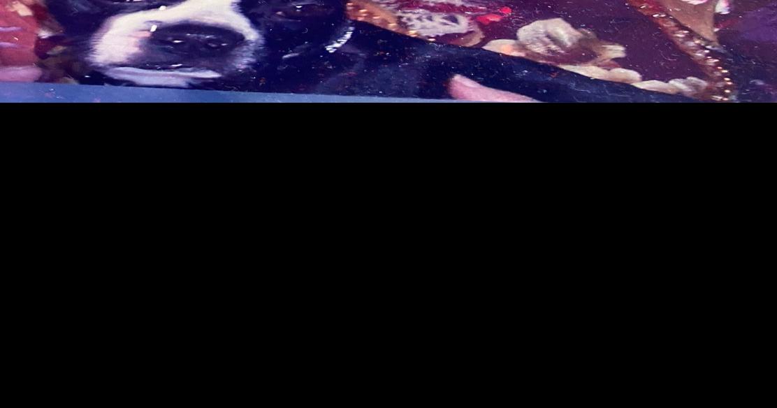 Martha Elizabeth Rushing | Obituaries | ledger.news