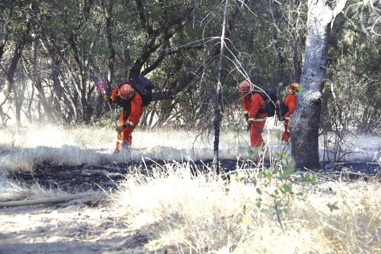 CAL FIRE Takes on Ponderosa Fire in Angels Camp | News | ledger.news