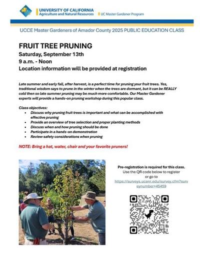 Free Fruit Tree Pruning Public Education Class | Calendar | ledger.news