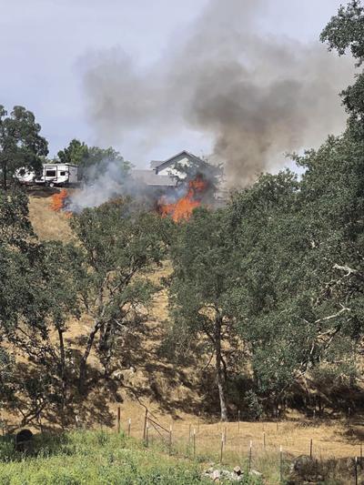 Fire Crews Fight Small Vegetation Fire Over Weekend | News | ledger.news