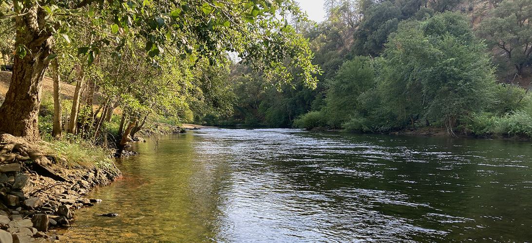 Attention River Lovers! Join in the 2024 Mokelumne River Cleanup | On ...
