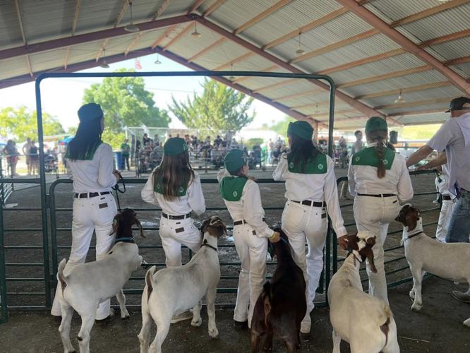 Big crowds, big crowns, big jumps, big bids and big smiles highight ...