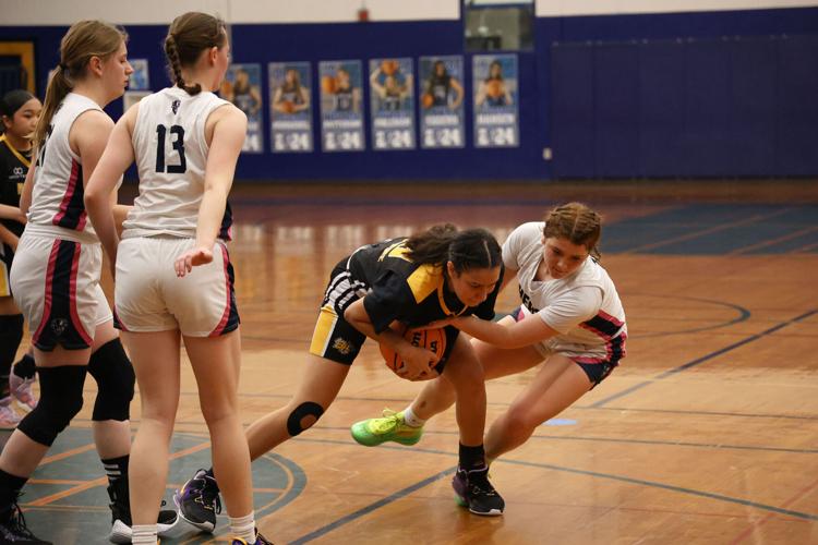 High School Basketball Roundup: Amador girls cruise into Division IV ...