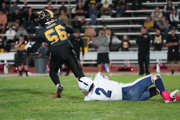 Youth Football Roundup: Amador, Argonaut Novice squads move on to MVFL semis | In the Game ...