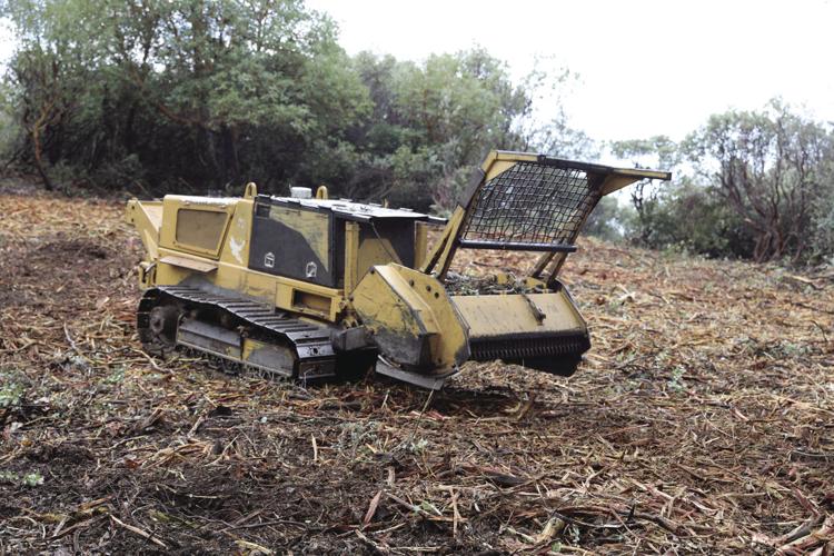 Fire Fuel Reduction Equipment Demo Set for This Week | Roots | ledger.news