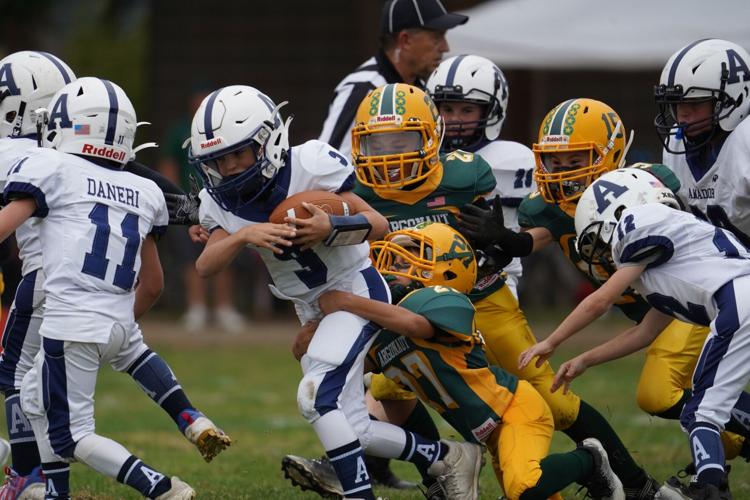 Youth Football Roundup: Novice Jr. Mustangs celebrate a Super Bowl win ...