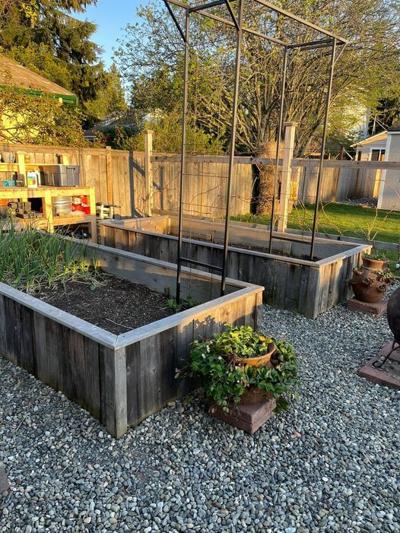Rivers & Rhymes: Raised Beds | Roots | ledger.news