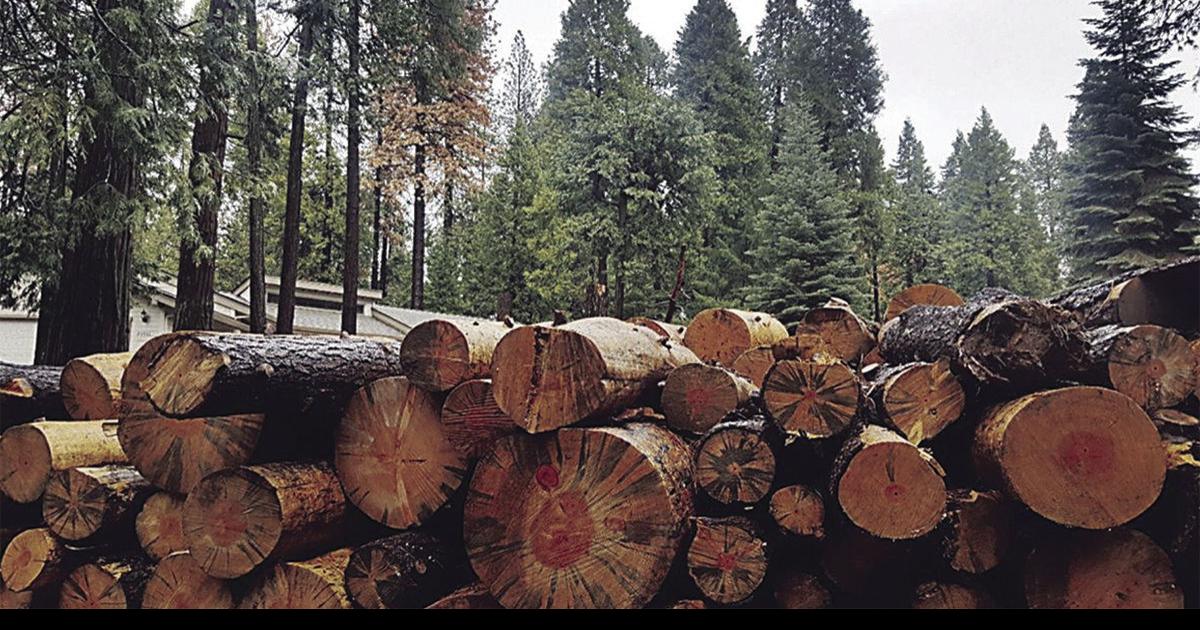 BLM Assessment to Streamline Vegetation Management and Removal of ...