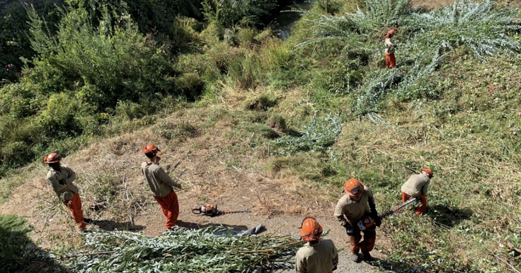 CalFire Pine Grove Youth Conservation Camp crew cleans Jackson Creek in ...