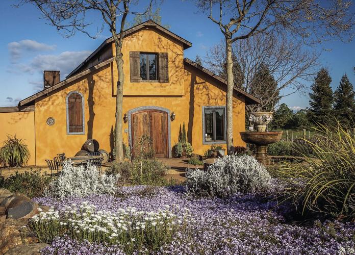 Avio Vineyards Celebrates 20 Years | Roots | ledger.news