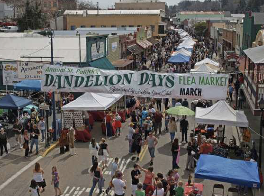 Dandelion Days | Calendar | ledger.news
