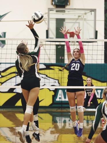 Suspended suspense! Volleyball rivals go head-to-head in season finale ...