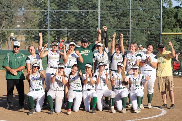 Walk-off win has Argonaut softball team walking tall into semifinals ...