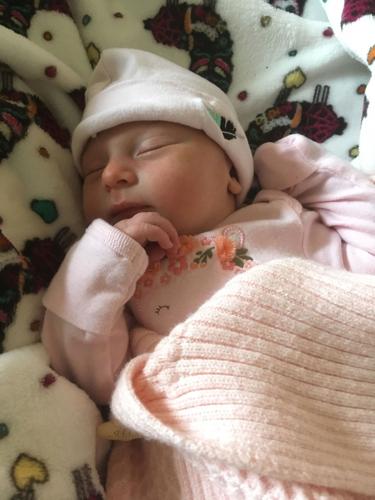 Meet Your New Neighbors | Announcements | ledger.news