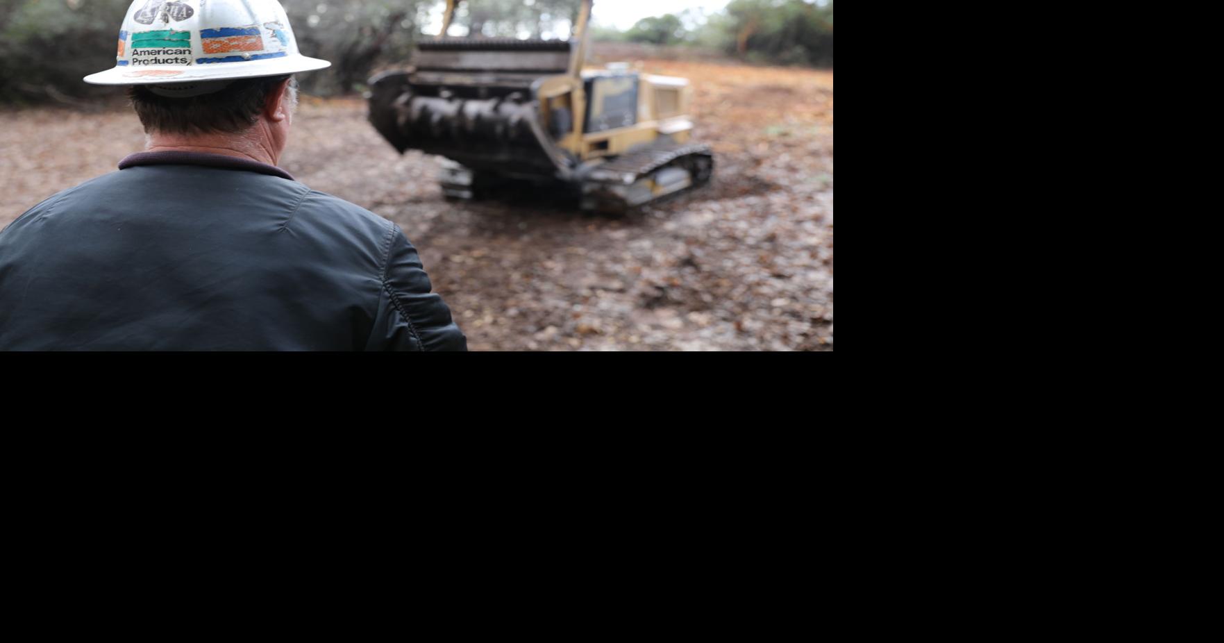 Fire Fuel Reduction Demo Set for This Week | News | ledger.news