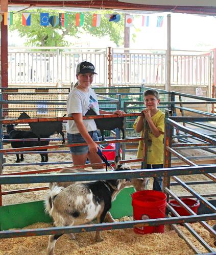 Amador County Fair Time Is Here! | On the Vine | ledger.news