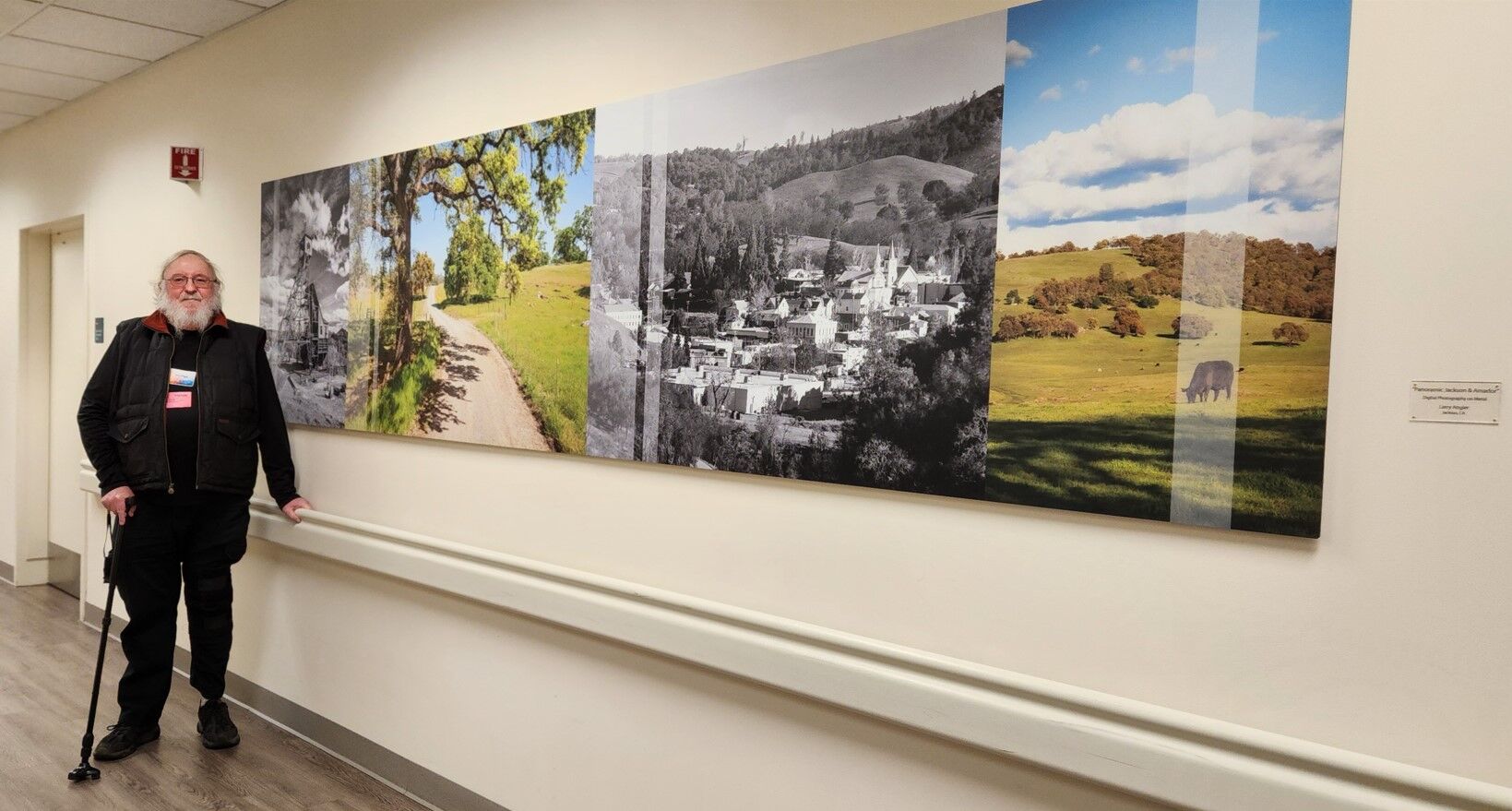 Sutter Amador Hospital’s stunning new installation | Roots | ledger.news