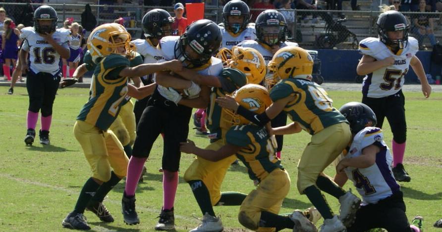 Youth Football Roundup Amador Argonaut Novice Squads Move On To Mvfl