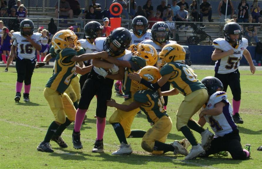 Youth Football Roundup: Amador, Argonaut Novice squads move on to MVFL semis | In the Game ...