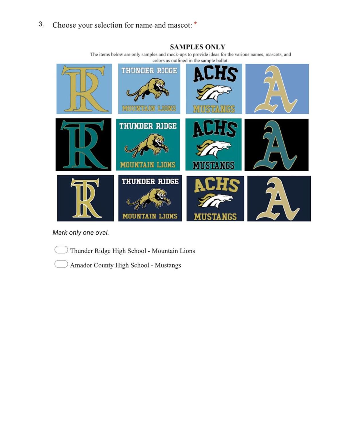 Consolidated High School Name, Mascot, Colors Ballot (Community ...