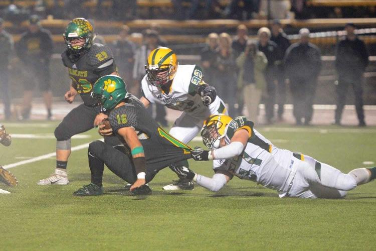 2017 All Star Lions Selection — David Crowhurst | In the Game | ledger.news