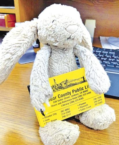 New Library Unveiled Soon | On the Vine | ledger.news