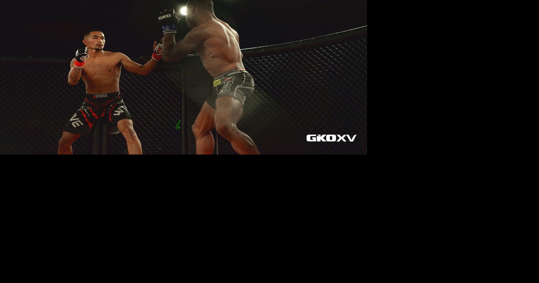 New Bill to create state-run MMA fighters pension fund passes Assembly ...