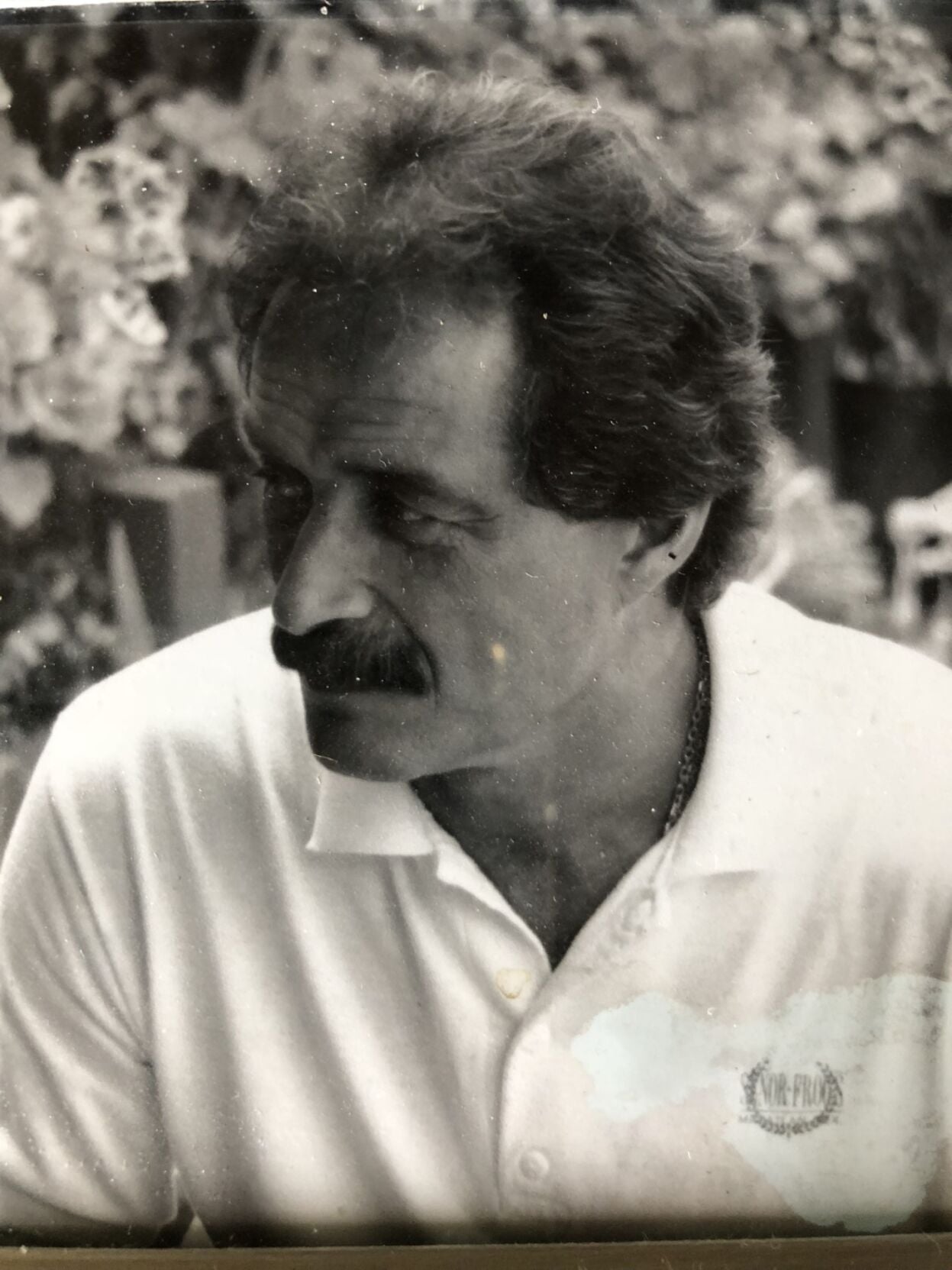In Memory: Frank Silvano Cardarelli | Obituaries | ledger.news