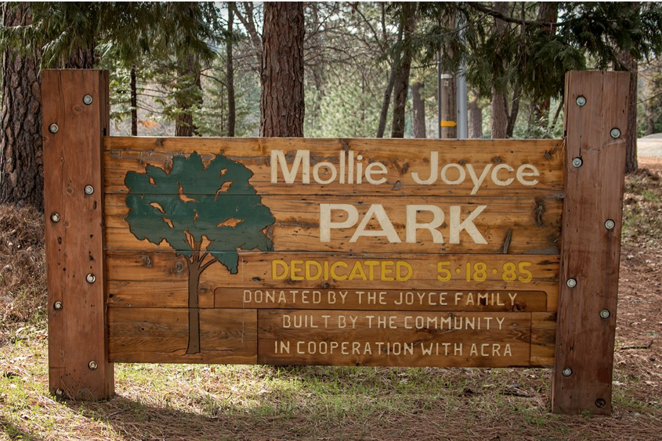 County planners make ‘conflicted’ decision to OK Mollie Joyce cell tower | News | ledger.news