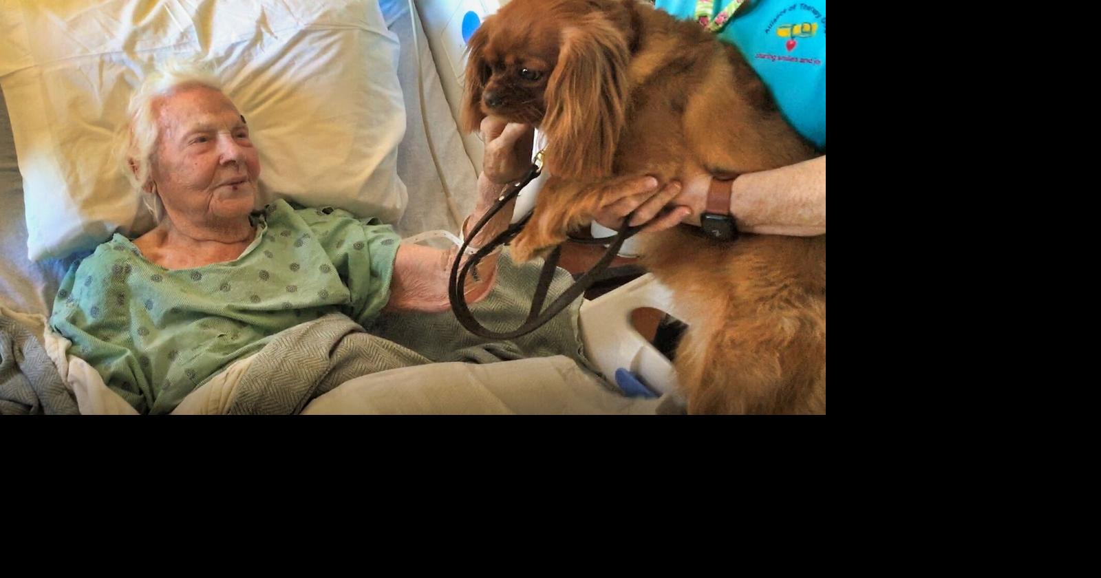 The Dog-tor Is In: Sutter Amador Welcomes Furry Companions to Comfort ...