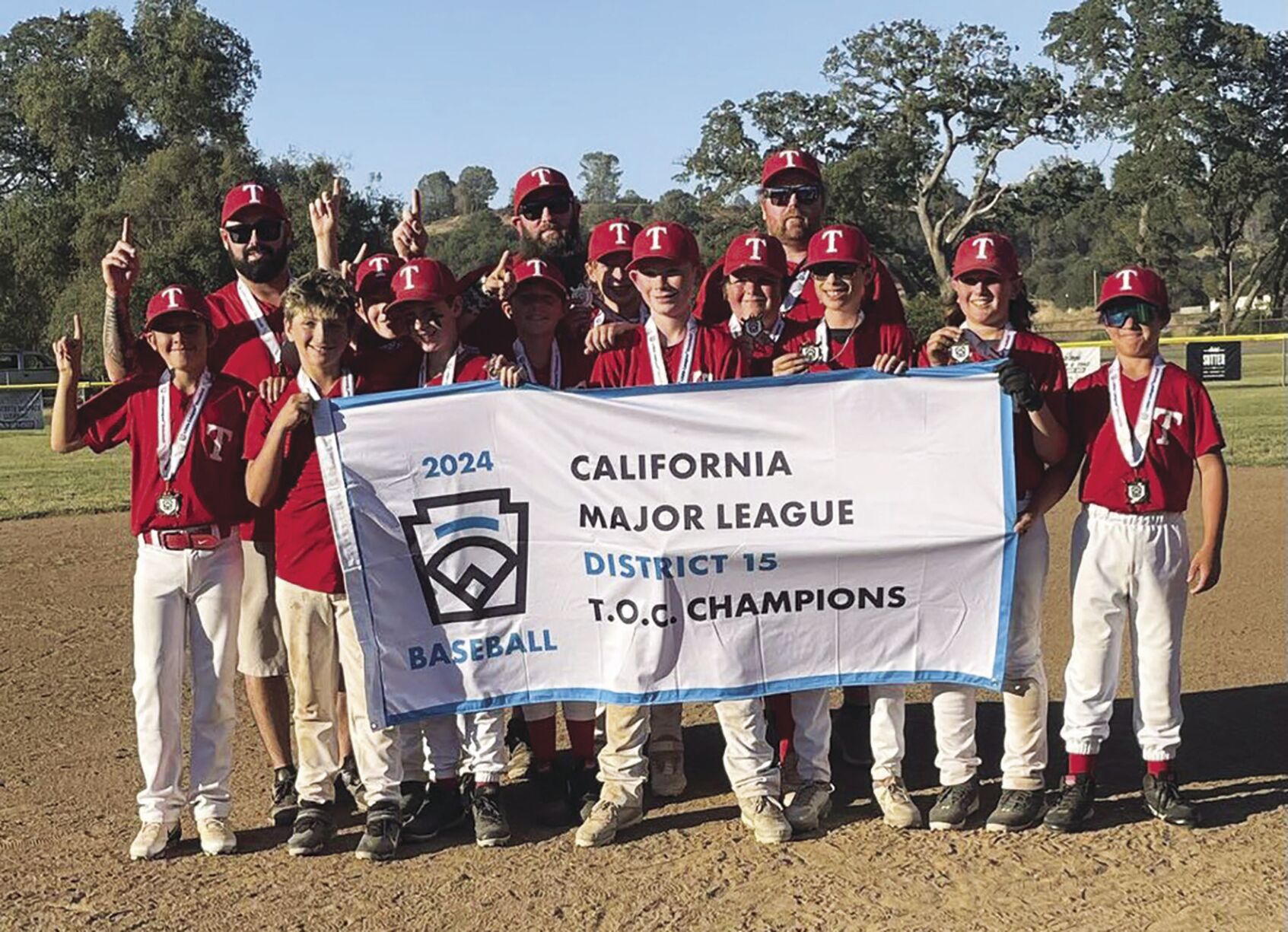 One TOC pennant each for Amador East, West | In the Game | ledger.news
