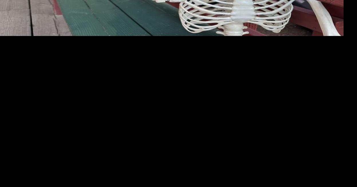 Railtown 1897 Offers “Skeleton Starlight” Excursion Train Rides ...