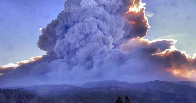Amador Fire Safe Council Projects and Upcoming Events | Roots | ledger.news
