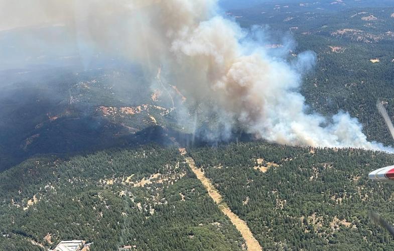 Guest Commentary: AWA's Gravity Supply Line value was proven in Tiger ...