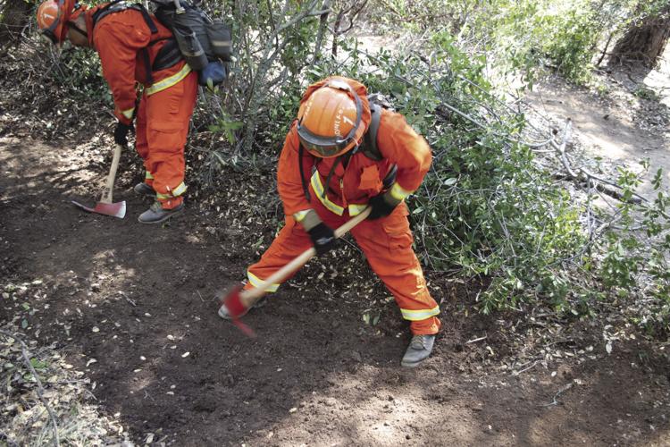 CAL FIRE Holds Annual Inmates Training Exercises in Preparation for ...