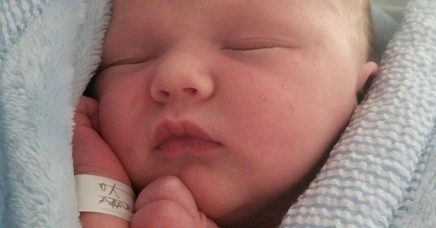 Meet Your New Neighbors: Jameson Patrick Brandes | Announcements ...