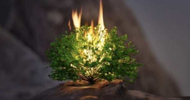 Walk in the place of Encounter | Roots | ledger.news