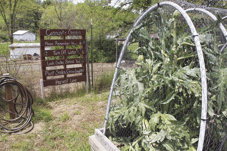Community Comes Together at ACRA Garden—Friends and neighbors grow ...