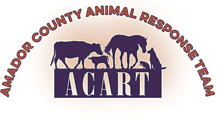 ACART: Code Red Evacuation Advisory/ Warning What Now? | Roots | ledger ...
