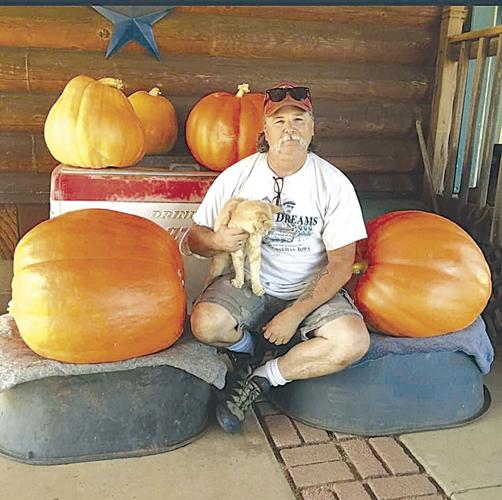 Make Pumpkins Great Again! | Roots | ledger.news